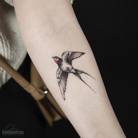 Ave Golondrina De Cuello Rojo Tatuajes Para Mujeres